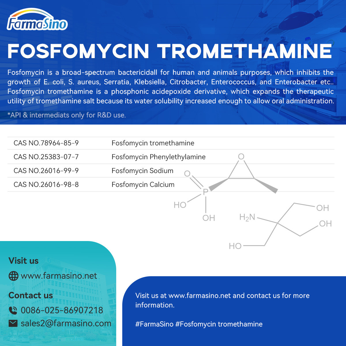 Fosfomisin trometamin, özellikle alt idrar yolu enfeksiyonları için ...